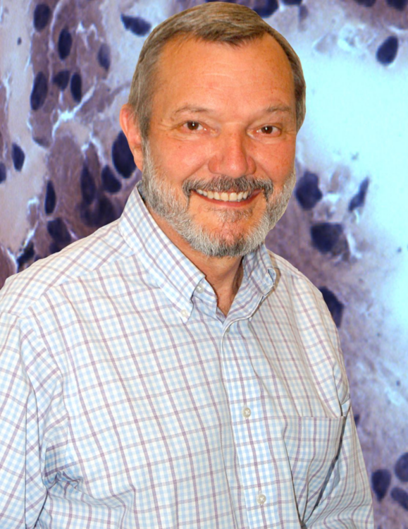 Inventor Spotlight: Marko Radic - University of Tennessee Research ...